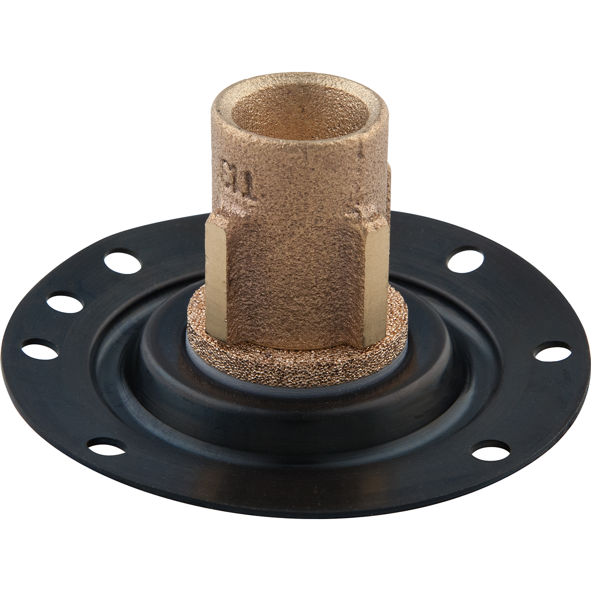 Teck® diaphragm and guide assembly - Master Plumber®